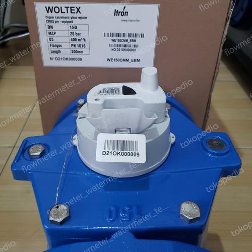 Jual WATER METER ITRON EVERBLUE CYBLE HT 6 INCH DN150 MM - Jakarta ...