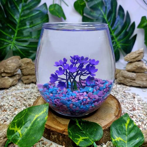 Jual Akuarium / Aquarium Mini Full Set Gratis Ikan Cupang Dekorasi ...