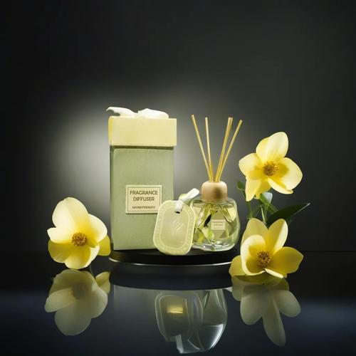Jual Pengharum Ruangan Aromaterapi / Sage Fragrance Reed Diffuser 2821 ...