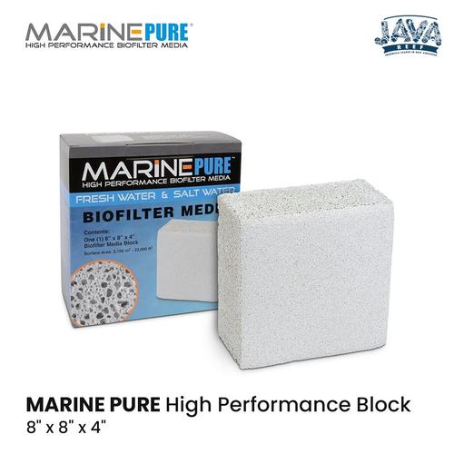 Jual Marine Pure high performance Block 8"x 8" x 4" - INSTANT SAMEDAY ...