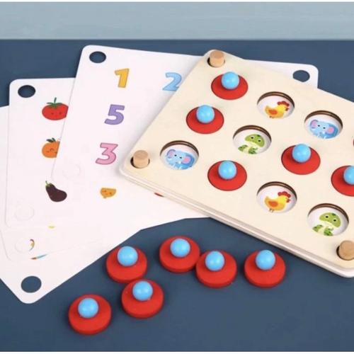 Jual Mainan anak memory game brain storm family game pair game match ...