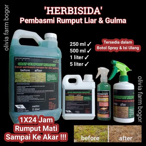 Jual Obat semprot rumput/Herbisida/Ampuh membasmi rumput liar dan gulma ...