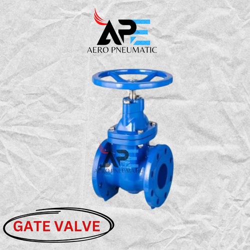 Jual 2" Gate Valve Cast Iron Type Flange JIS 10K Size 2 Inch - Jakarta ...