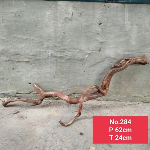 Jual akar santigi laut kayu santigi laut akar aquascape aquarium 284 ...