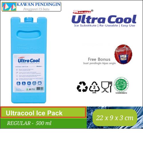 Jual GROSIR Ice Pack / Cool Pack / Ice Gel - ULTRA COOL type Regular ...