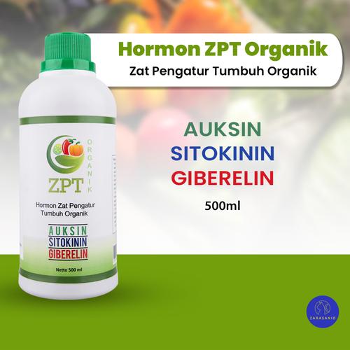 Jual Hormon ZPT Organik Zat Pengatur Tumbuh Auksin Giberelin sitokinin ...