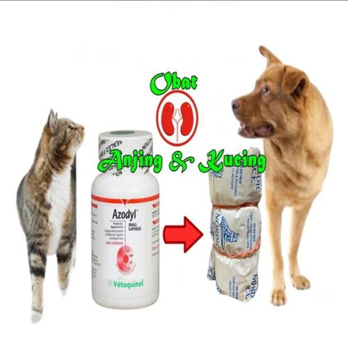 Jual Azodyl isi 90 suplemen untuk dukungan ginjal pada kucing dan ...