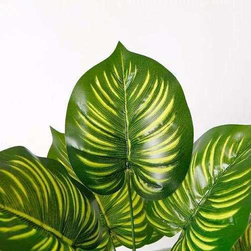 Jual Daun Calathea Plastik - Tanaman Plastik Daun Calathea Hias ...