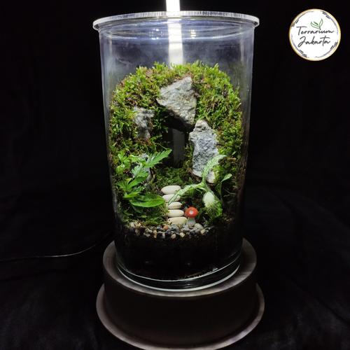 Jual Hollow Island Terrarium| Closed Terrarium - Gift set Unik ...