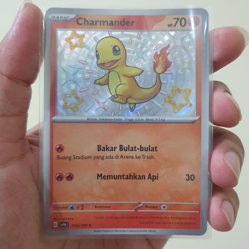 Jual Charmander Baby Shiny sv4a 210/190 Pokemon TCG Indonesia - Jakarta ...
