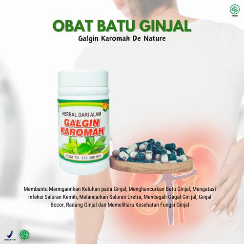 Jual Obat Susah Kencing Sakit, Penyumbatan Saluran Kemih-Galgin 50 ...
