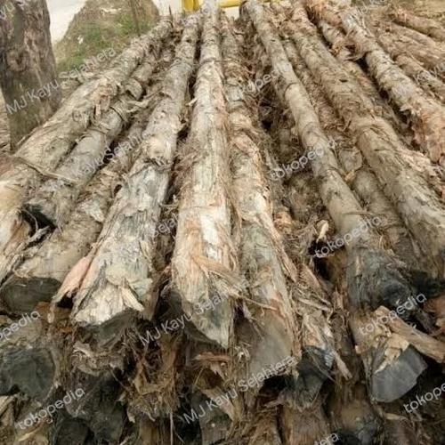 Jual Kayu Dolken Gelam Murah Panjang 4 Meter - 8-10 cm - Kota Semarang ...