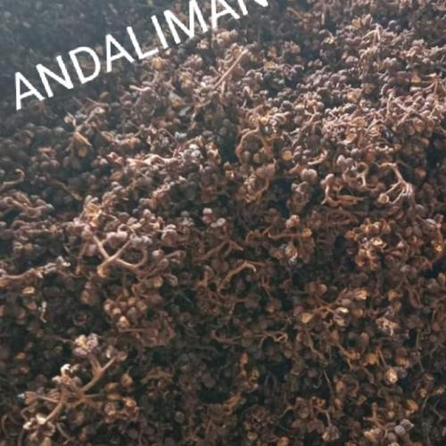 Jual andaliman kering andaliman raya 1 kg - Kab. Simalungun - senang ...
