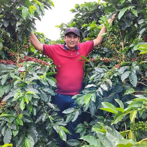 Jual COLOMBIA GEISHA SUCI 2024 GREEN BEANS - Jakarta Barat - ENTOOLISS ...