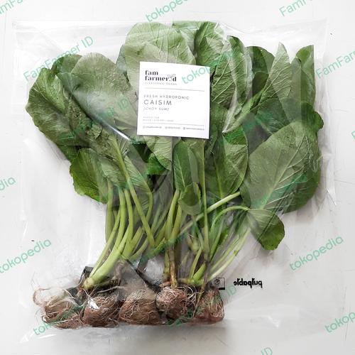 Jual Caisim Hidroponik 250 Gram - Kota Tangerang Selatan - FamFarmer ID ...
