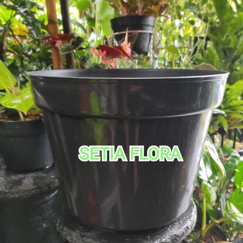 Jual Pot Plastik Bunga 40cm Hitam Polos Global Lion 12 PCS/LUSINAN ...