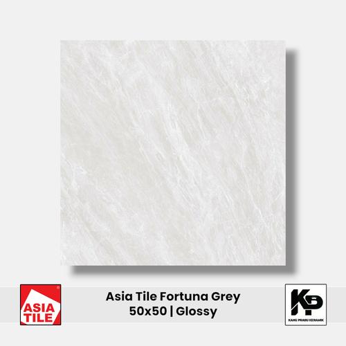 Jual Keramik ASIA TILE Fortuna Grey 50x50 Cm - Jakarta Pusat - Putra ...