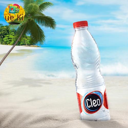 Jual CLEO AIR MINERAL BOTOL 550ml (1 Karton : 24 botol) - Kab ...