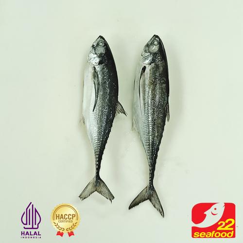 Jual ikan tengkek 1kg / seafood 22 - Jakarta Utara - 22 seafood ...