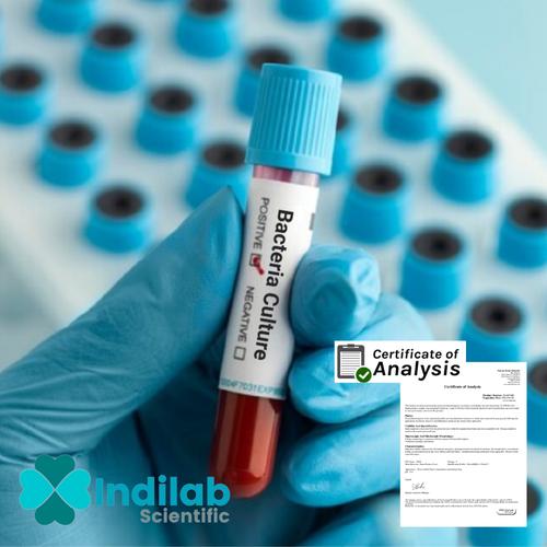 Jual Kultur bakteri Lactobacillus casei shirota strain - Kota Samarinda ...