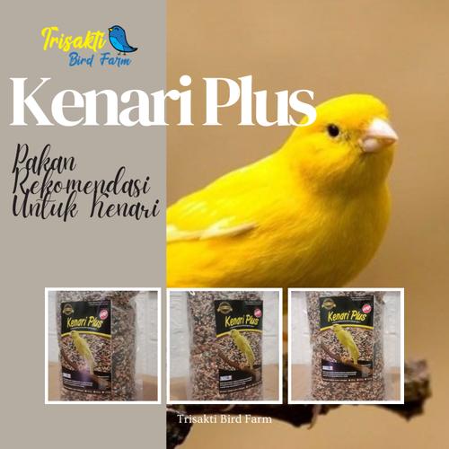 Jual Pakan Kenari Plus kemasan Ekonomis 1 kg Bijian pilihan Komplit ...