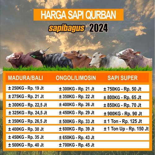 Jual Qurban Sapi 2025/ Sapi Kurban/ Sapi Bali/ Obral Sapi Murah - Kota Depok - Agen Sapibagus ...