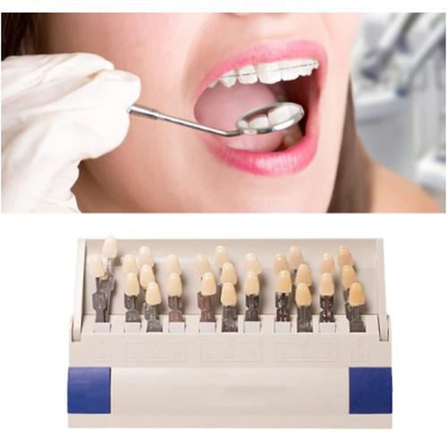 Jual Shade Guide Vita 3d Master 29 Warna Shade Guide Dental Vitapan ...