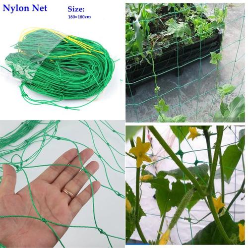 Jual Jaring Tali Tanaman Rambat Pagar Tumbuhan Rambatan Buah Anggur ...