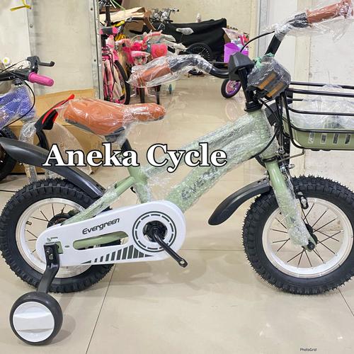 Jual Sepeda Anak Roda Empat Cowok BMX Evergreen Evans 12 Keranjang ...
