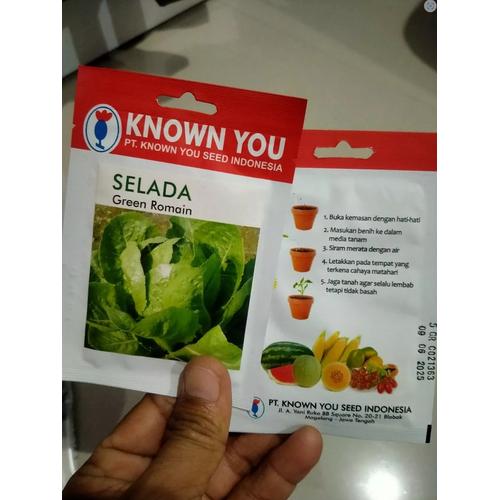 Jual Buruan order SELADA GREEN ROMAINE 20gr PACK KECIL biji Benih SELADA Hijau Known You Seed ...
