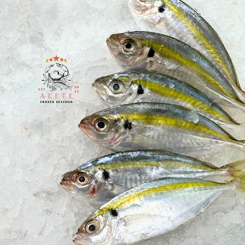 Promo Ikan Selar Segar 1kg Beku Frozen Selar Kuning Fresh - 1 Kg ...