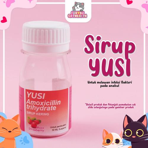 Jual Sirup YUSI untuk anti infeksi bakteri pada anabul kucing - Jakarta ...
