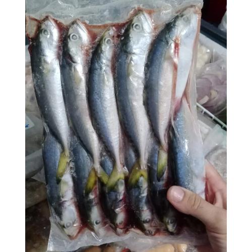 Jual Ikan kembung aso-aso kemasan 1 kg - Kota Medan - D'Frozen Fresh ...
