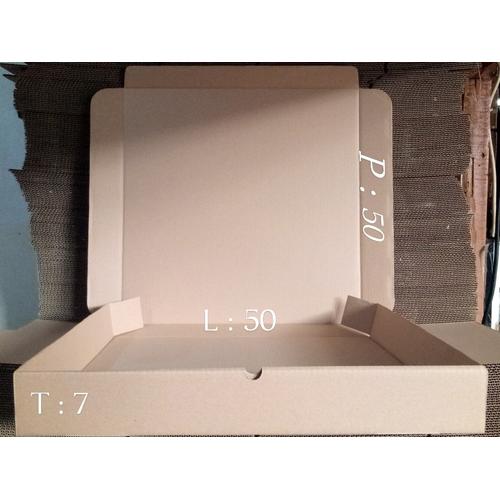 Jual Box Kotak Kemasan Pizza Dus Coklat Polos Die Cut Single Wall ...
