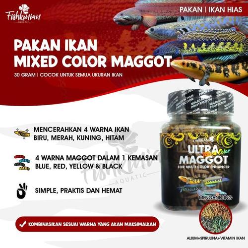 Jual ULTRA MIXED COLOR MAGGOT PAKAN IKAN HIAS PREDATOR CHANNA LOUHAN ...