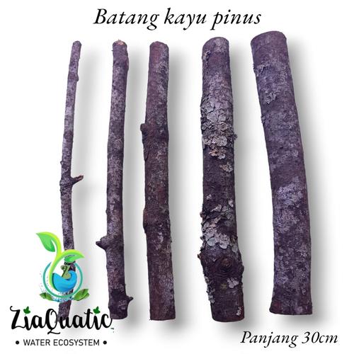 Jual Hardscape Kayu Aquascape Terrarium / Media Tanam Anggrek - Kab ...