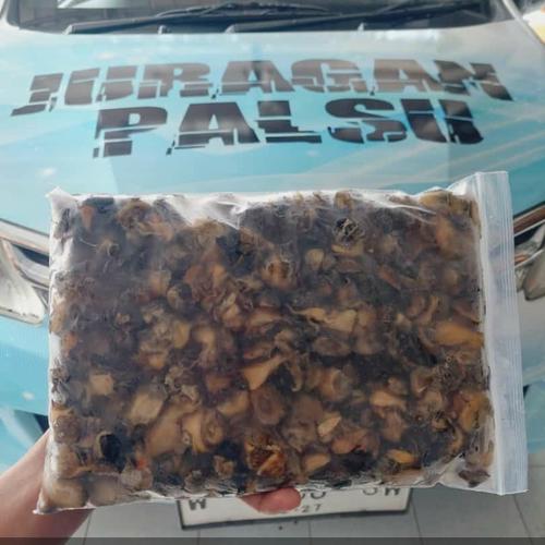 Jual Daging Bekicot/Keong Sawah 1kg - Kab. Tangerang - Universeafood ...