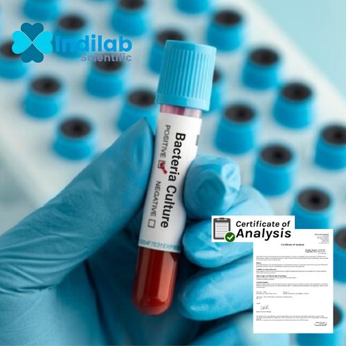 Jual Kultur | Isolat | Biakan murni Bakteri Propionibacterium acnes ...