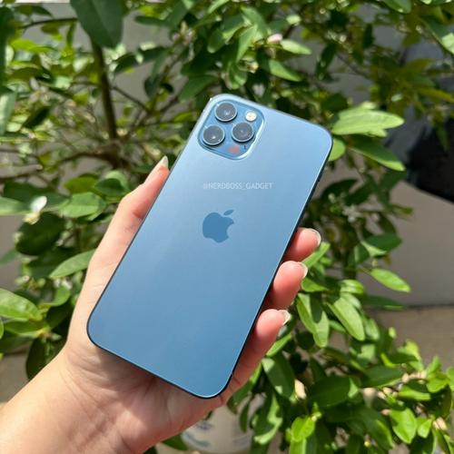 Jual IPHONE 12 PRO PACIFIC BLUE 256GB MULUS CAKEP | 100% ORIGINAL APPLE ...