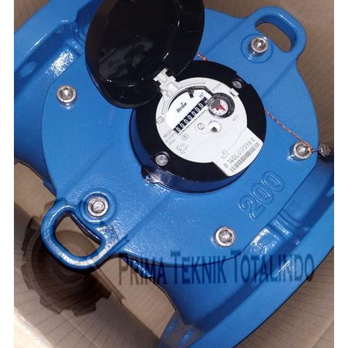 Jual Water Meter Itron Woltex 8 Inch DN200mm C.W Tera Metrologi ...