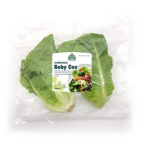 Jual Baby Romaine 250gr - Baby Cos - Sayur Hidroponik - Fresh Cut ...