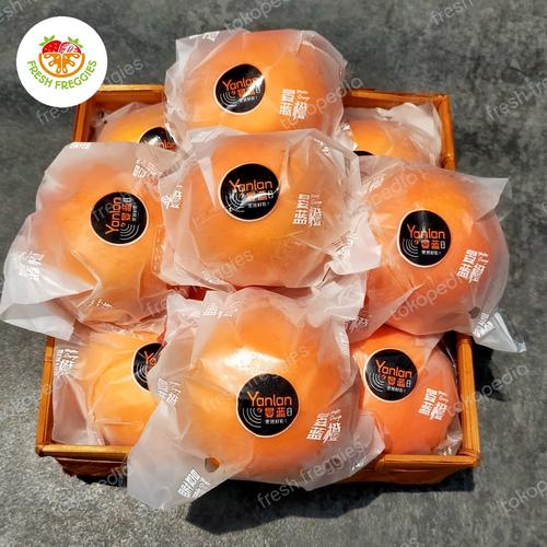 Jual Jeruk sunkist Navel RRC | Sunkist Navel China Orange | 1 Kg ...