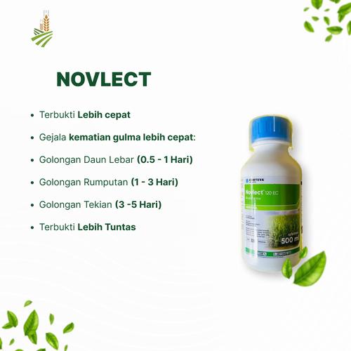 Jual Pembasmi Rumput Liar di Padi | Novlect Herbisida Sistemik - 500 ml ...