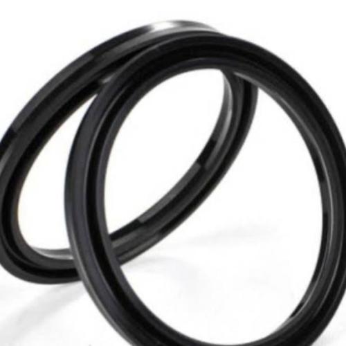 Jual SEAL USH 53x63x6 FKM USH 53*63*6 FKM SKY 53 63 6 Sakagami FKM ...
