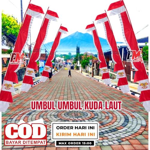 Jual BENDERA UMBUL-UMBUL MERAH PUTIH WARNA WARNI KUDA LAUT - gergaji - Kab. Garut - PENGRAJIN ...