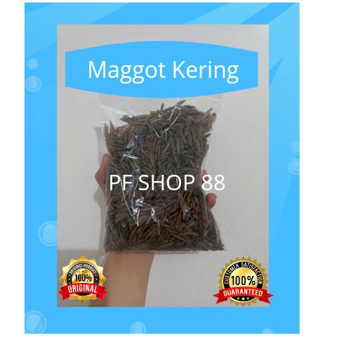 Jual Maggot Ulat Hongkong Kering Grade A+ pakan ikan predator Channa ...