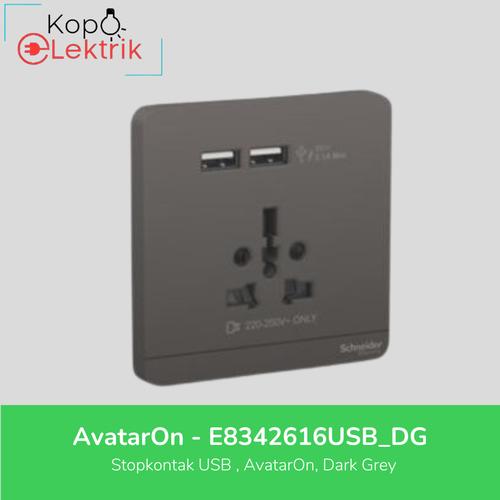 Jual Schneider Electric Avatar On DG Int Socket 16A USB 2.1A ...