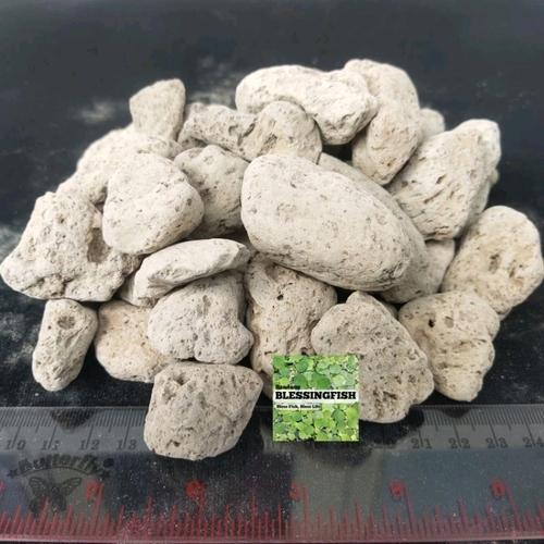 Jual Batu Apung Pumice Stone Batu Apung Media Filter Aquarium Kolam ...