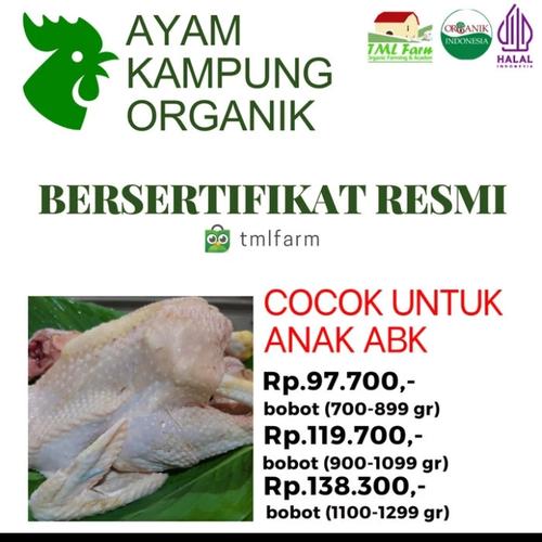 Promo AYAM KAMPUNG ORGANIK SERTIFIKAT HALAL MUI RESMI - 700-899 GRAM ...