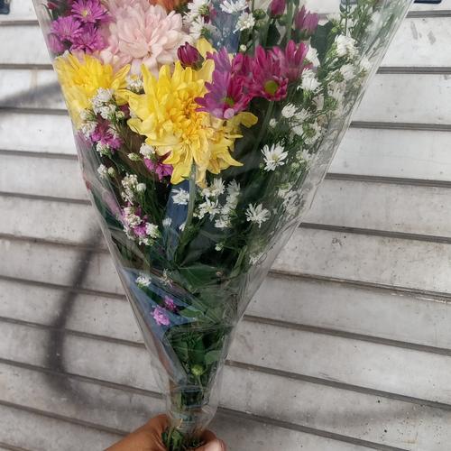 Jual bunga segar/bunga asli/bunga aster - Kota Bekasi - Toko Bunga ...